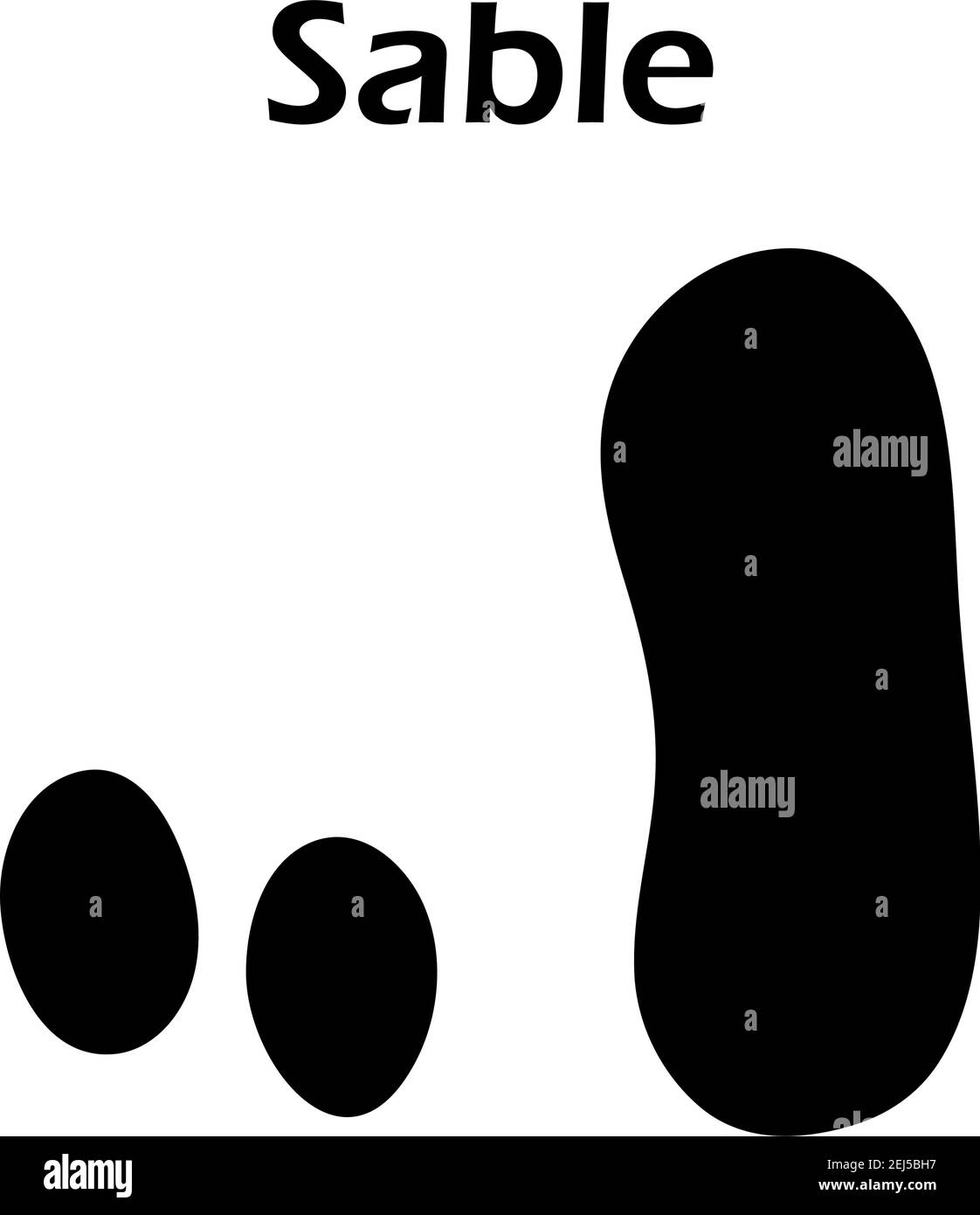 Sable Footprint. Black Silhouette Design. Vector Illustration Stock ...