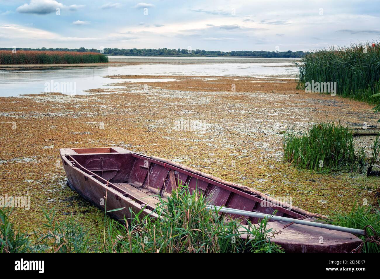 Tisza lake hi-res stock photography and images - Alamy
