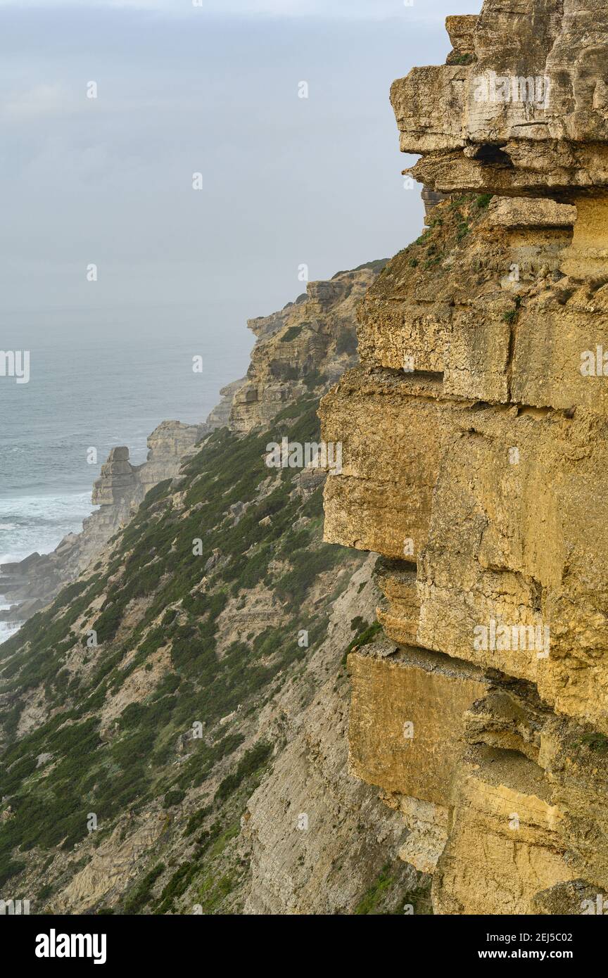 A vertical shot of geological cliff formations on background of the ...