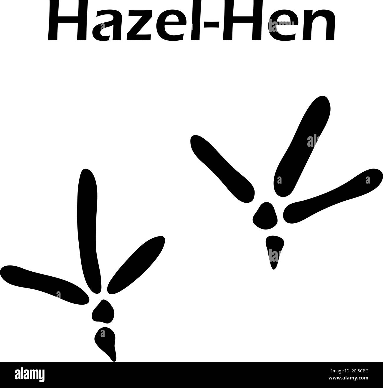 Hazel-Hen Footprint. Black Silhouette Design. Vector Illustration Stock ...