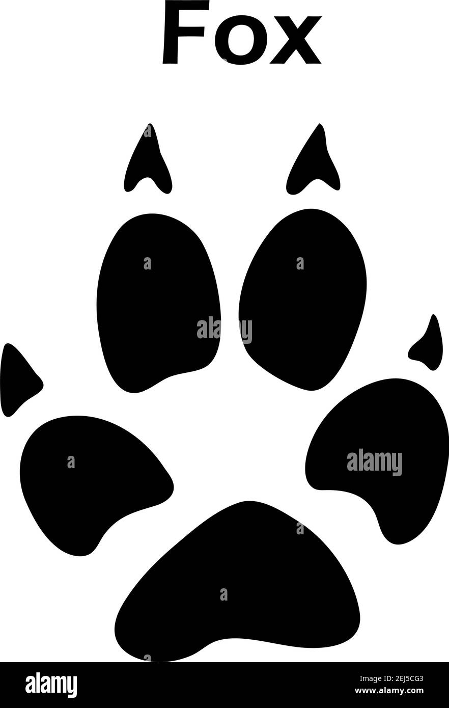Fox Footprint. Black Silhouette Design. Vector Illustration Stock ...