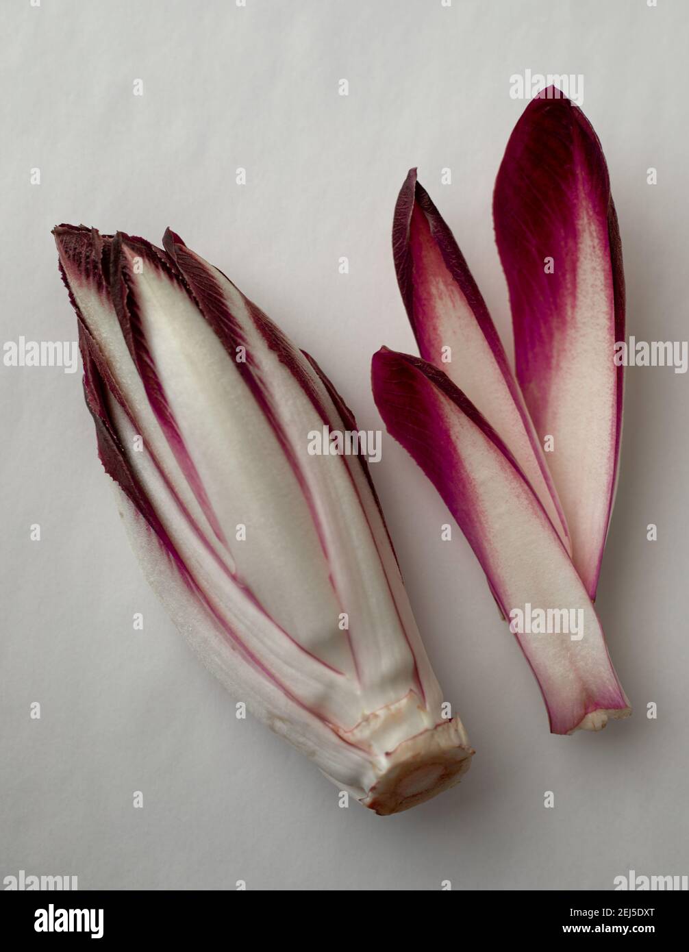 Fresh red chicory on a white background Stock Photo - Alamy