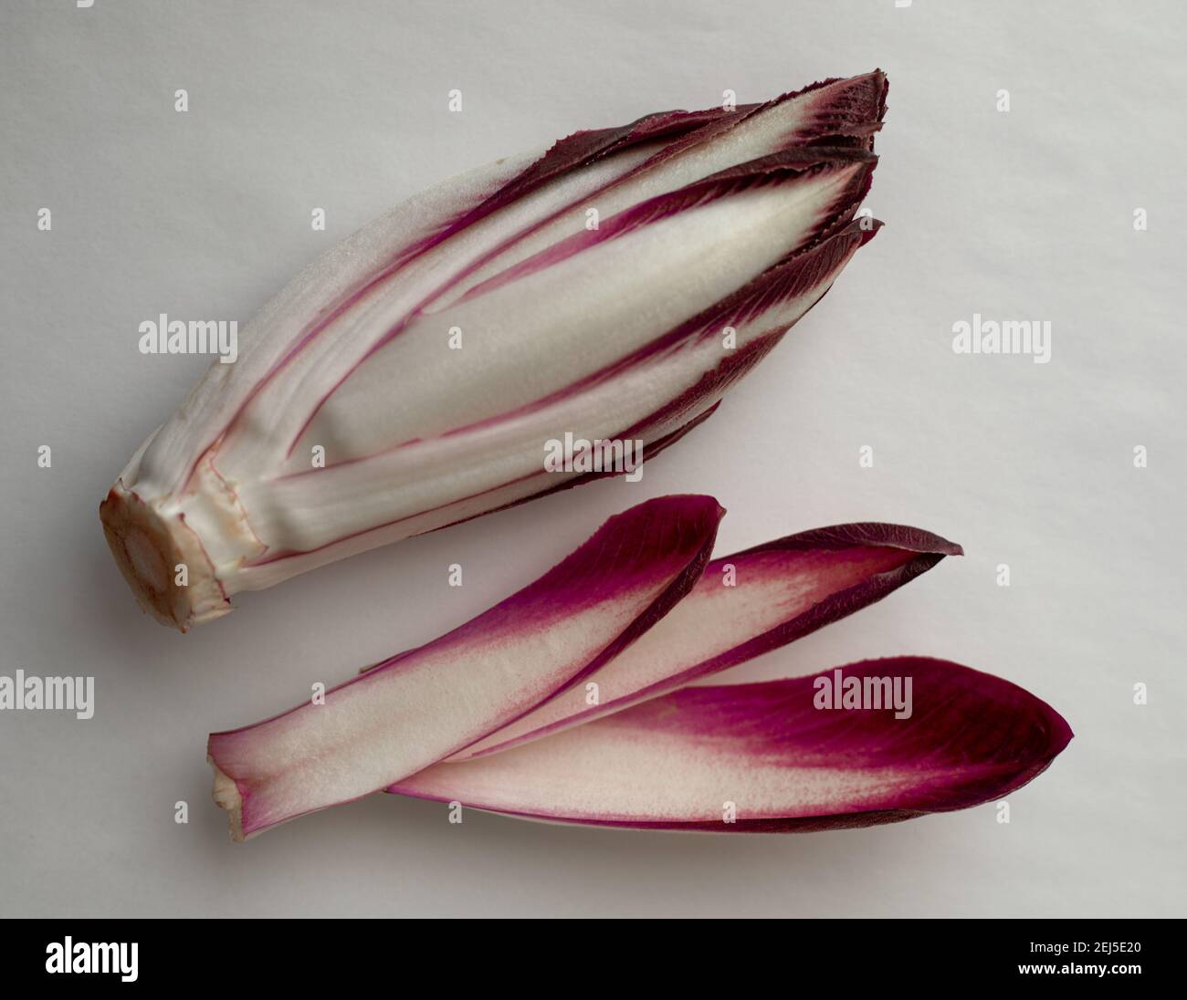 Fresh red chicory on a white background Stock Photo - Alamy