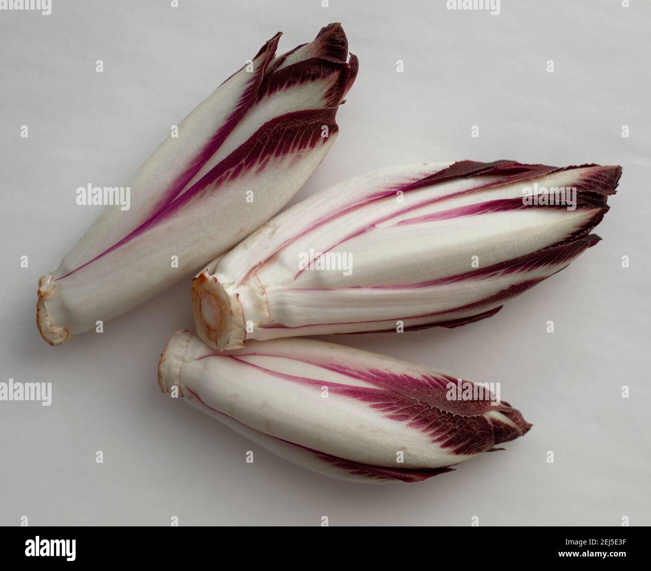 Fresh red chicory on a white background Stock Photo - Alamy