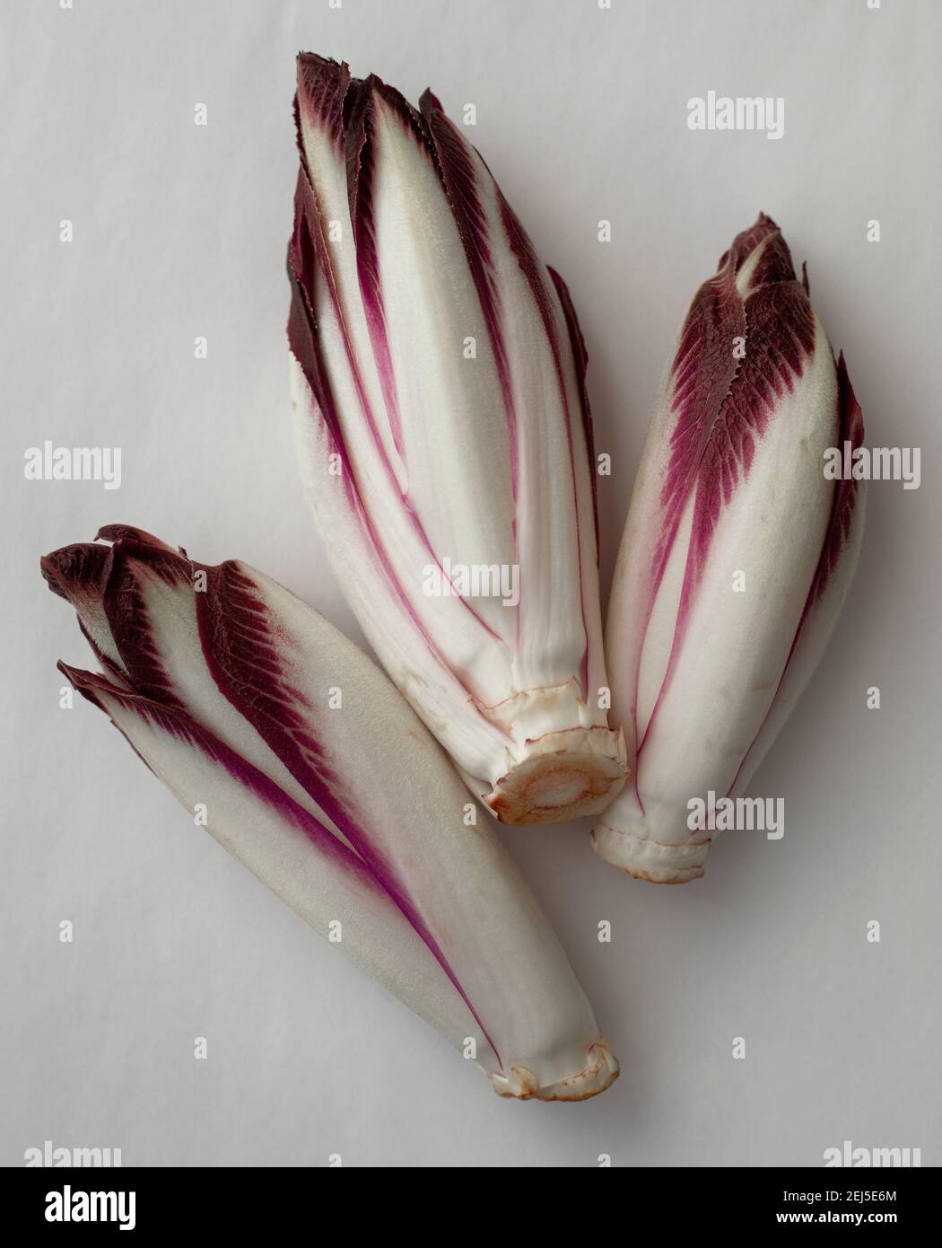 Fresh red chicory on a white background Stock Photo - Alamy