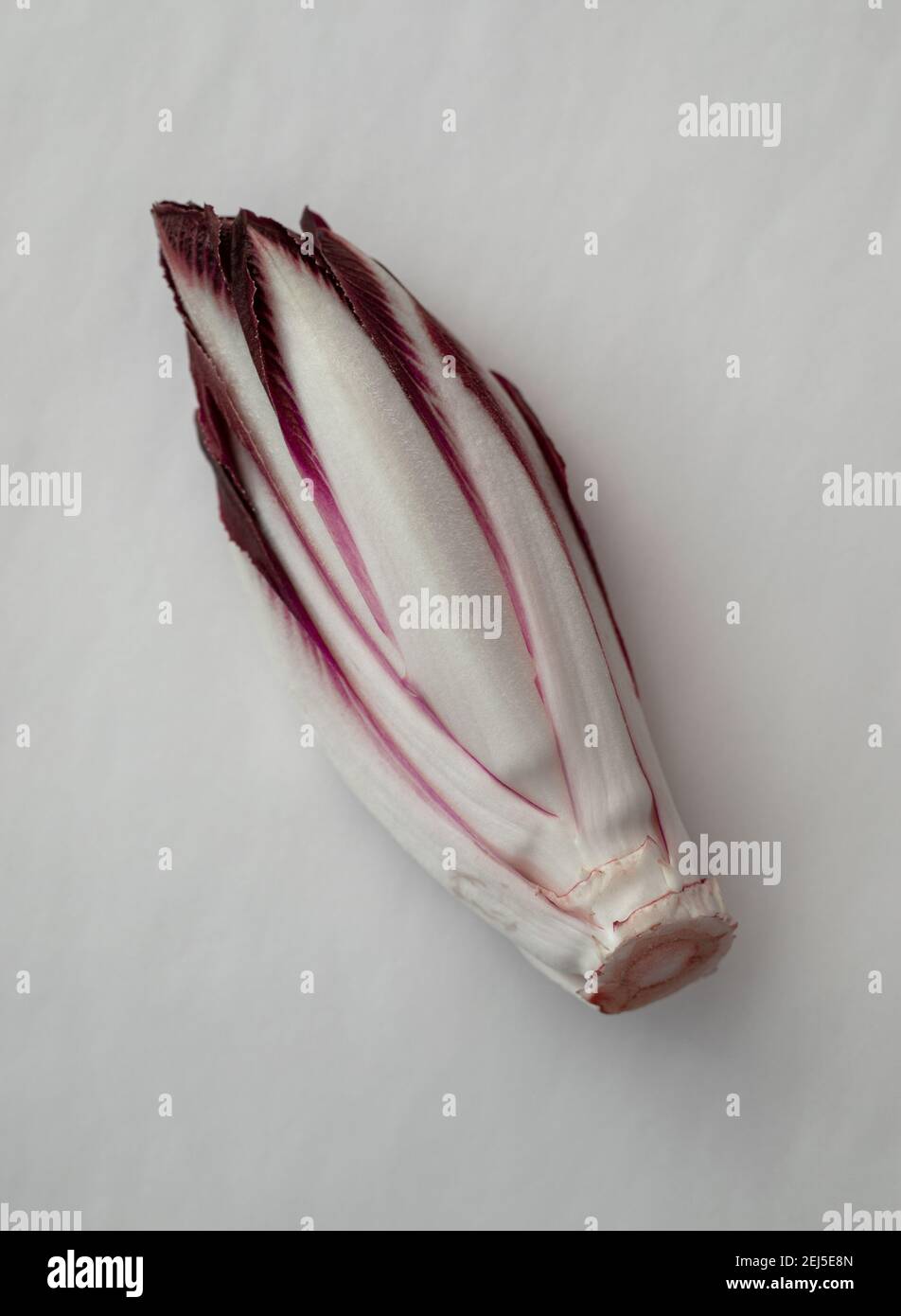 Fresh red chicory on a white background Stock Photo - Alamy