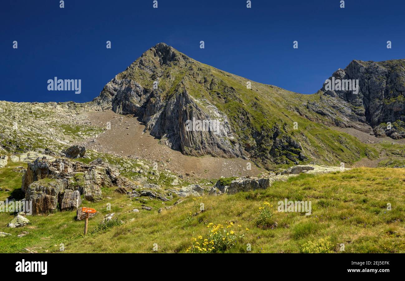 Indicador de sol hi-res stock photography and images - Alamy