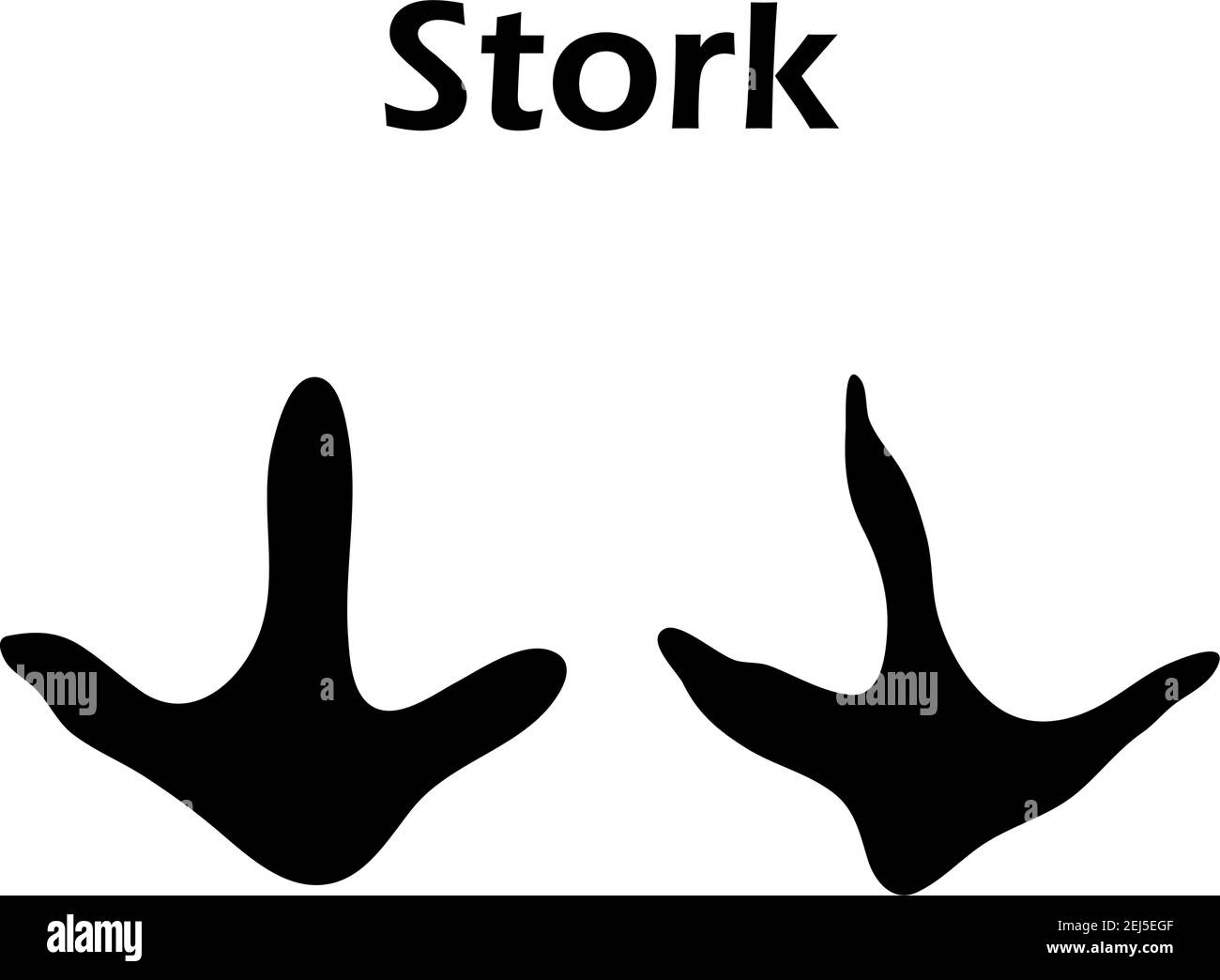 Stork Footprint. Black Silhouette Design. Vector Illustration Stock ...