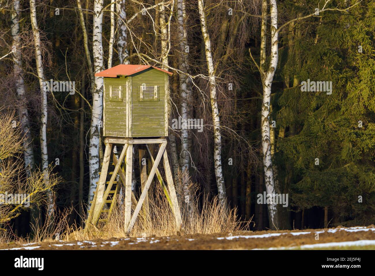 Wooden lookout tower for hunting in the woods and on meadow Stock Photo ...