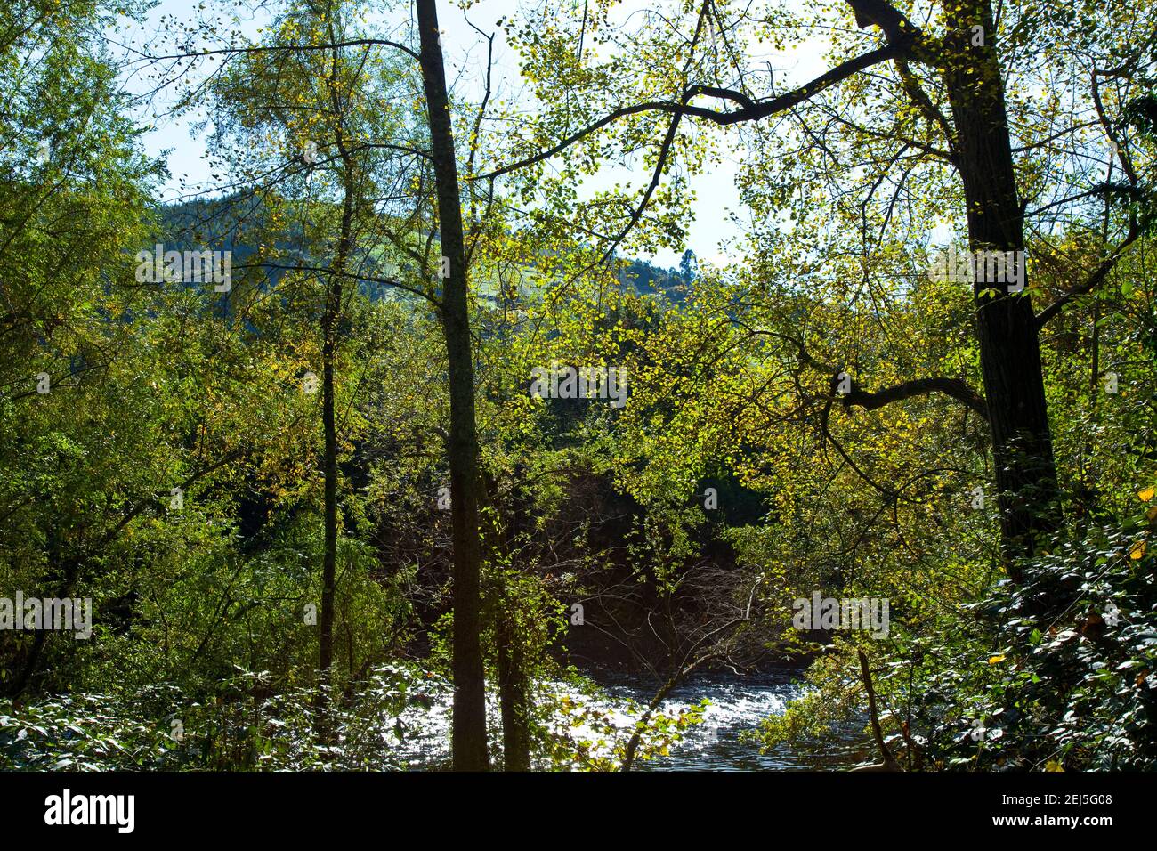 Udalla hi-res stock photography and images - Alamy