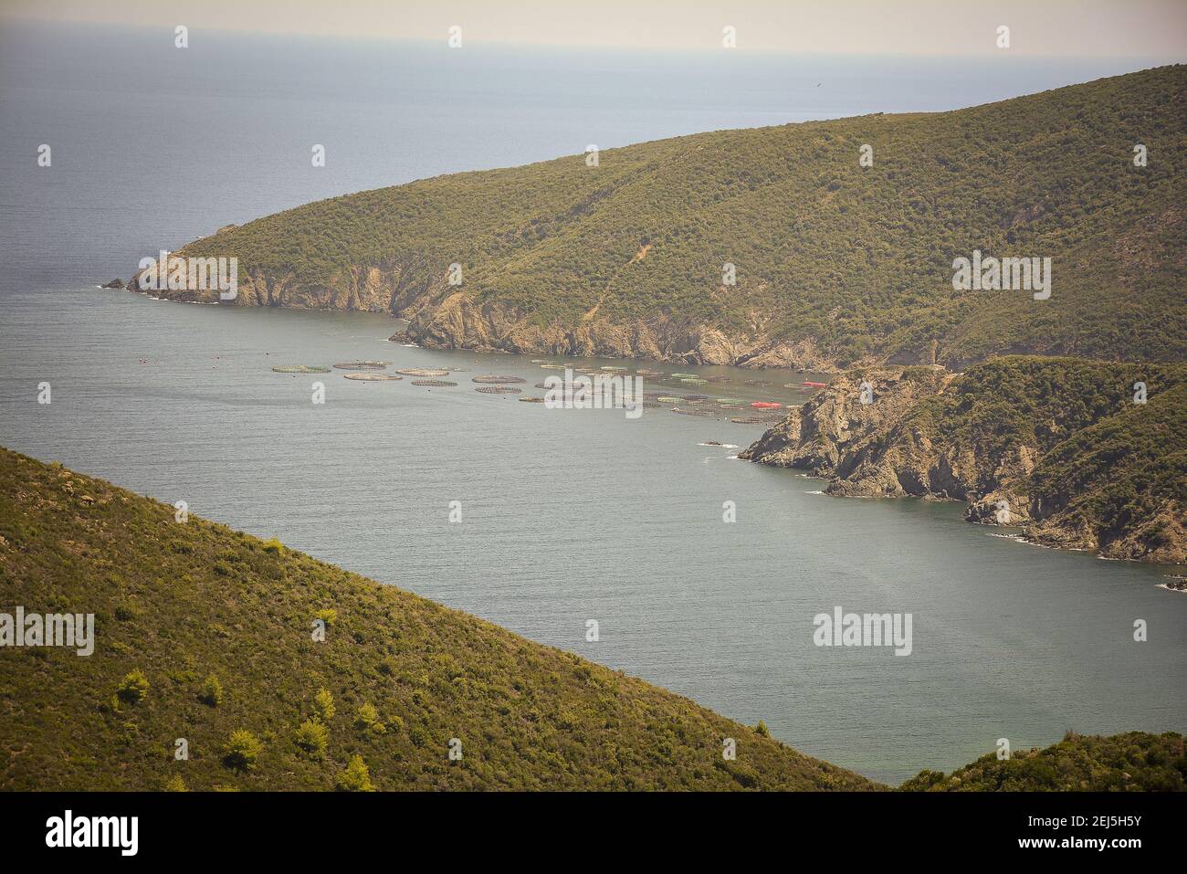 An aerial view of a sea surrounded by hills covered in greenery Stock ...