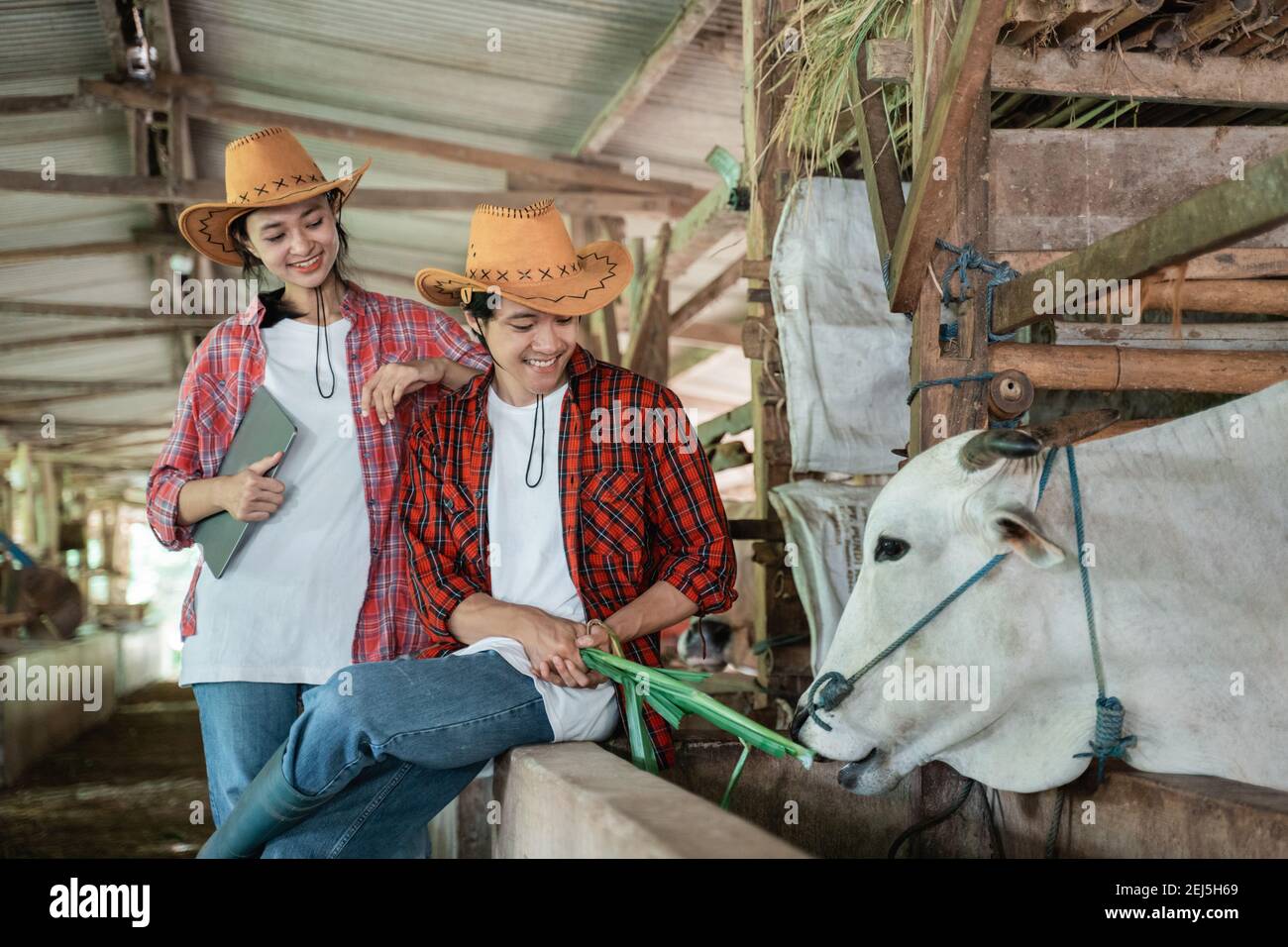 Close up of girl and boy smile wearing casual clothes while feeding ...