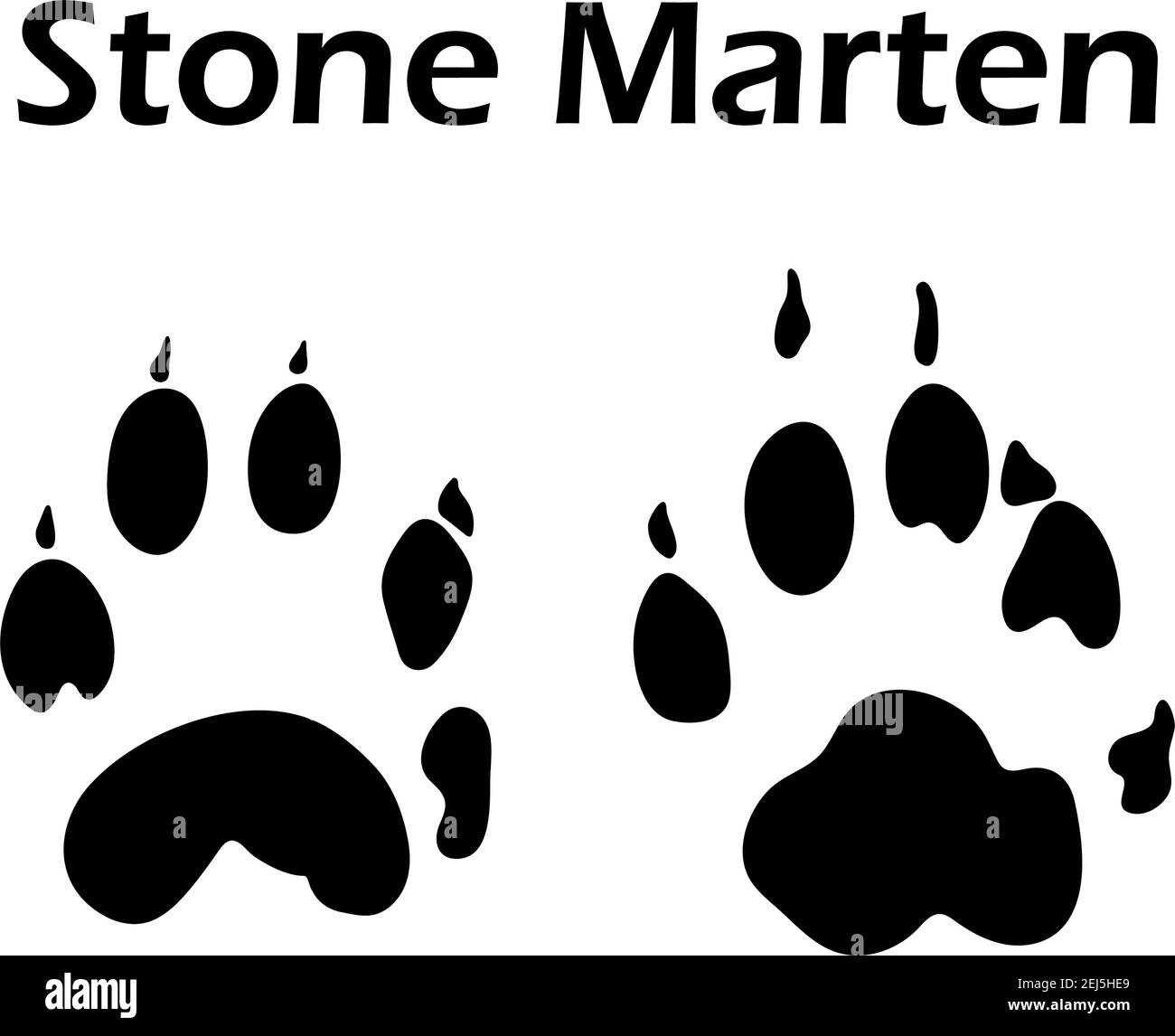 Stone Marten Footprint. Black Silhouette Design. Vector Illustration ...