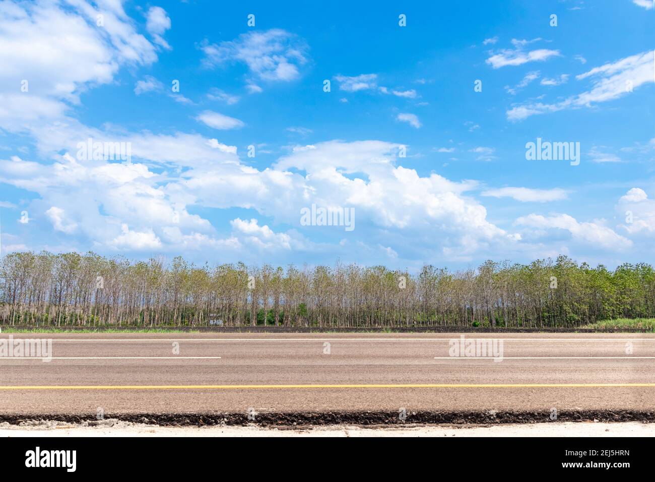 Empty Road Side View