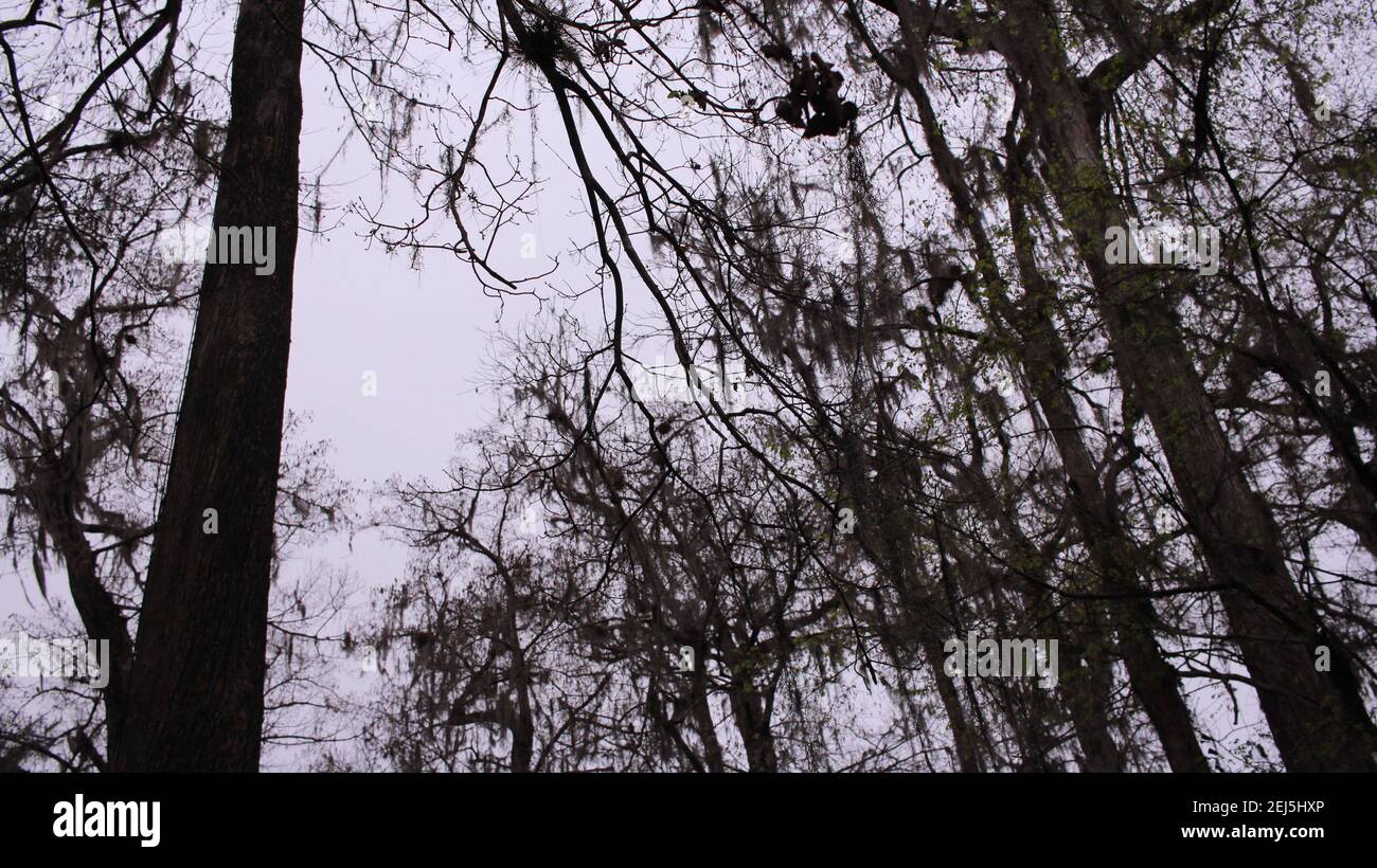 Gloomy scene scenery hi-res stock photography and images - Alamy