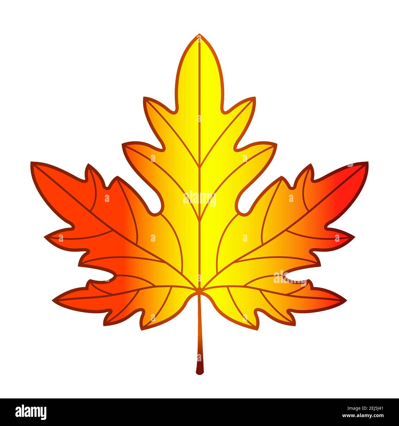 Illustration of red maple leaf Stock Vector Image & Art - Alamy