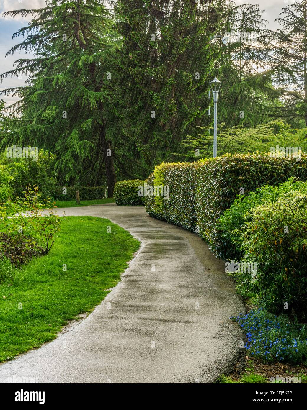 Beautiful Rainy Spring Day