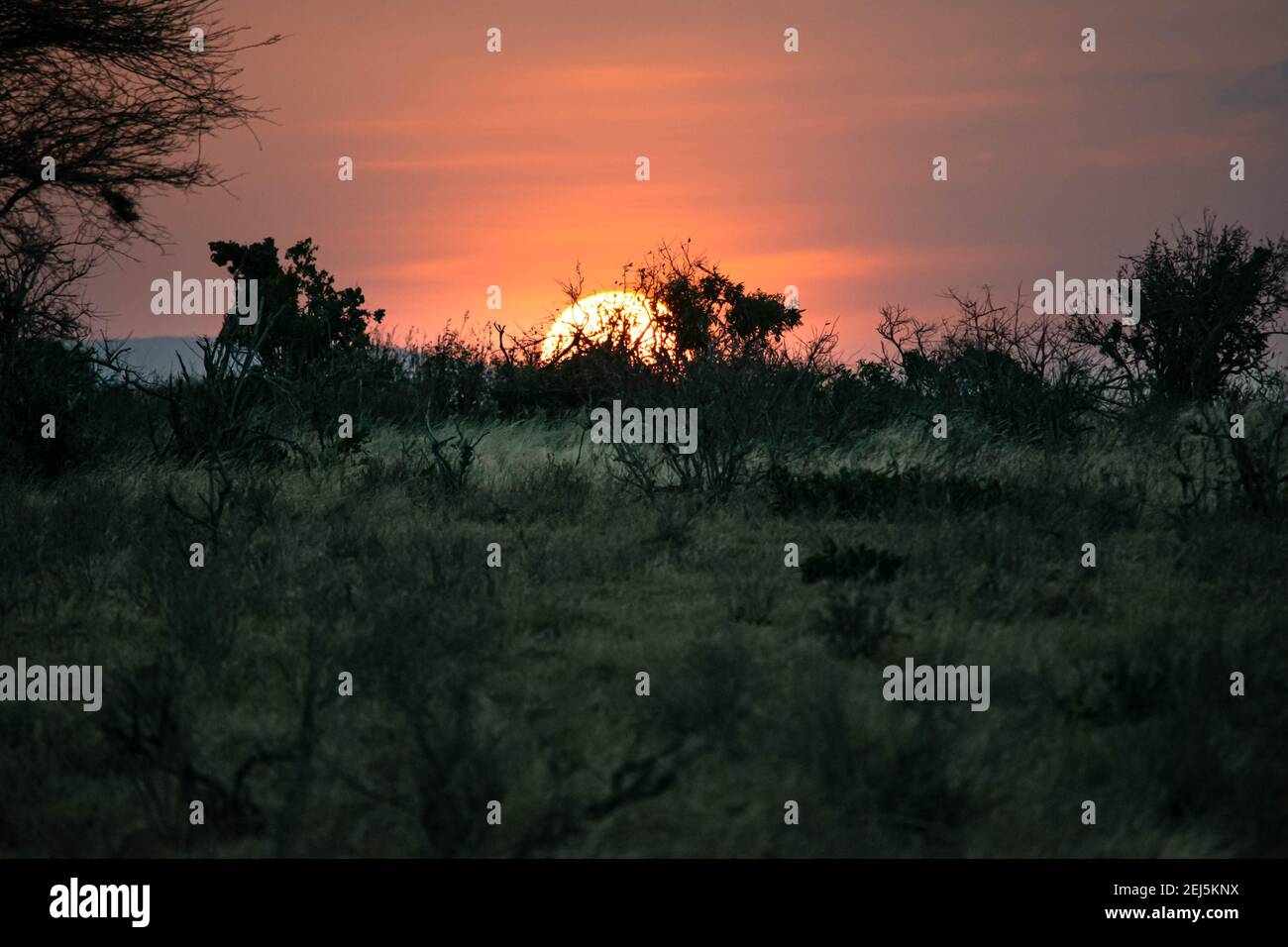 Beautiful africa kenya sunset behind hi-res stock photography and ...