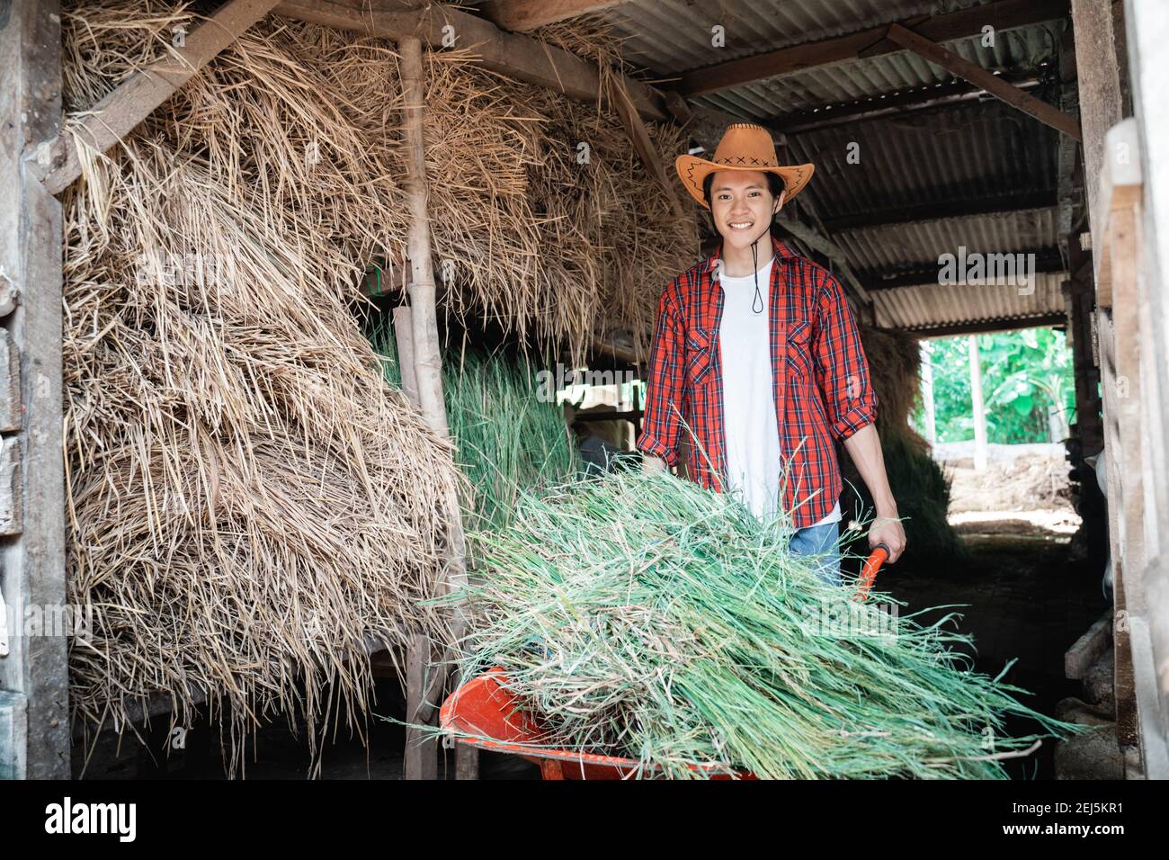 Young male farmer works hi-res stock photography and images - Alamy