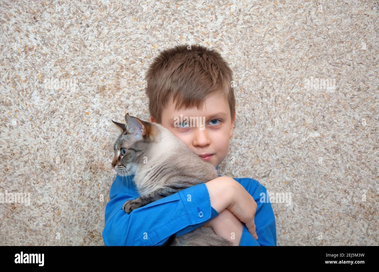 Child boy with a cat. Care and love for animals Stock Photo - Alamy