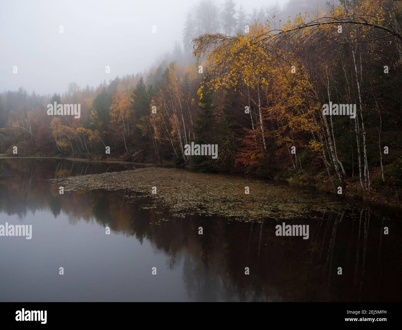 Partialy covered hi-res stock photography and images - Alamy