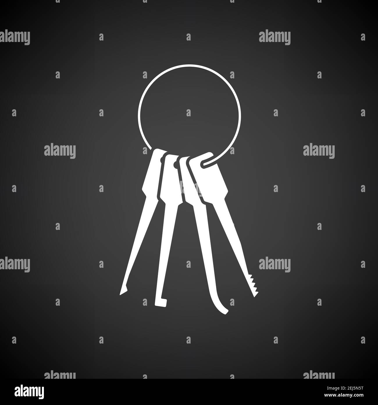 Lockpick Icon. White on Black Background. Vector Illustration Stock ...