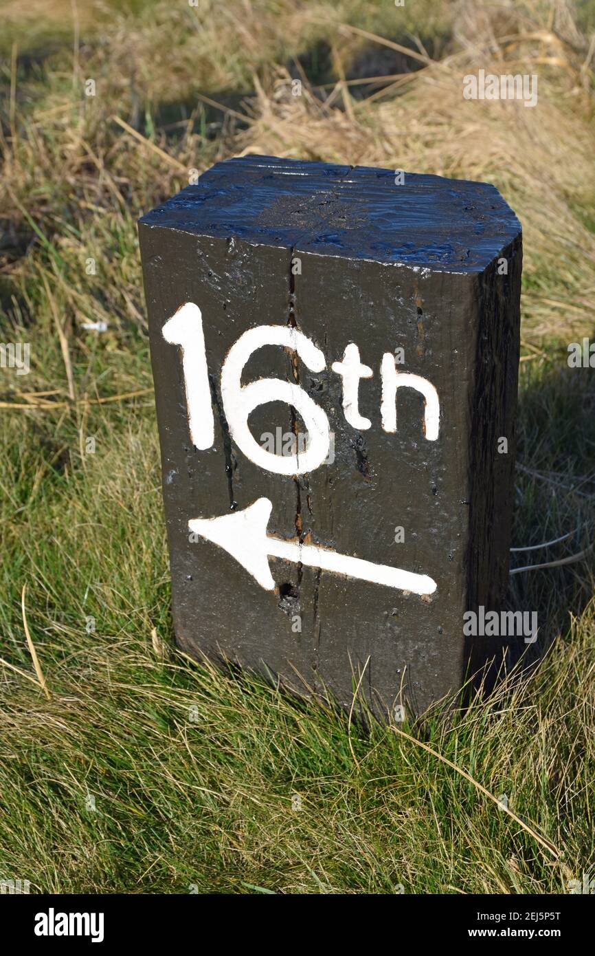 Wooden post indicating 16th tee with arrow. Isolated with grass ...