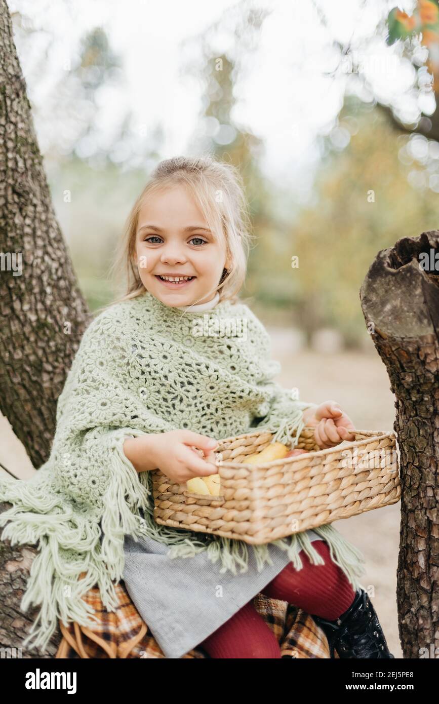 Child picking pears on farm in autumn. Little girl playing in pears ...