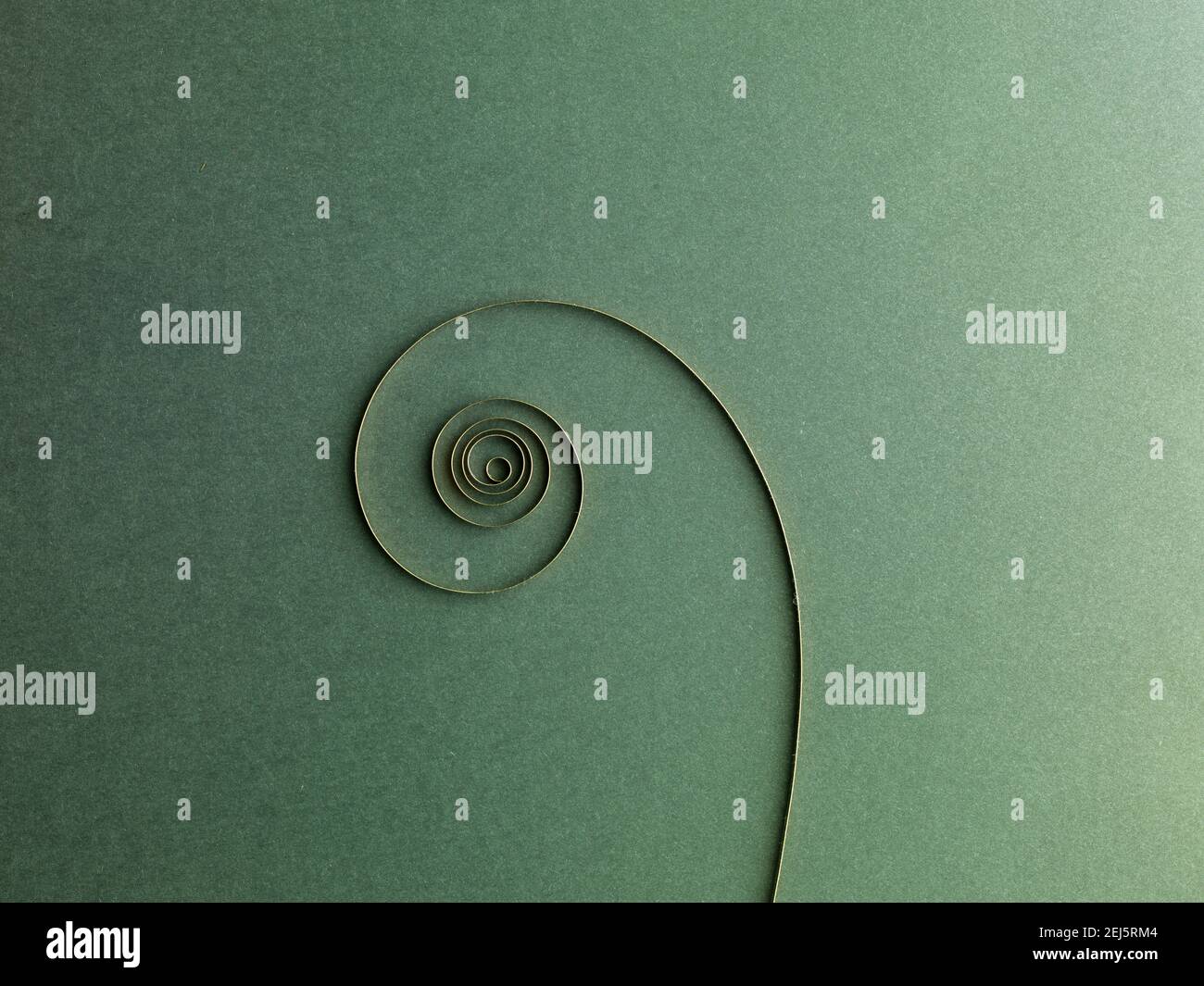 Spiral spring hi-res stock photography and images - Alamy