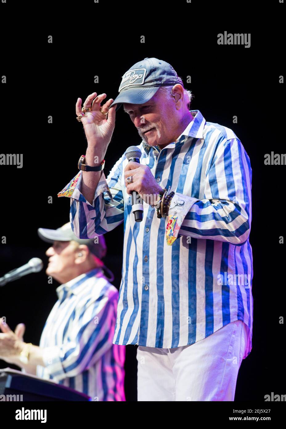 Tim Love of the Beach Boys performs live on stage as part of the ...