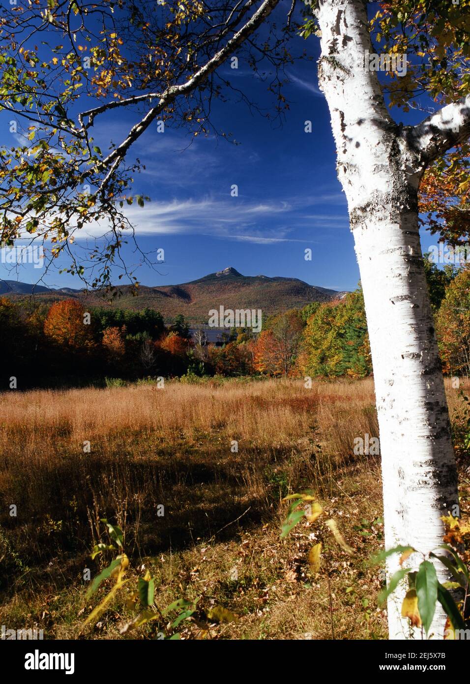 Mount Chocorua autumn vista Stock Photo - Alamy