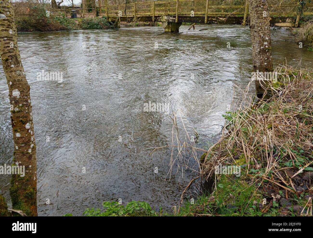 mill pond on the river avon Stock Photo - Alamy