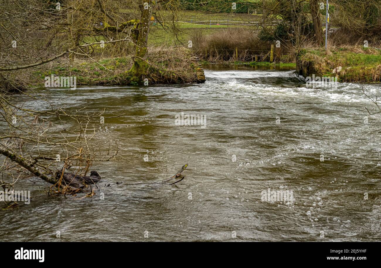 mill pond on the river avon Stock Photo - Alamy