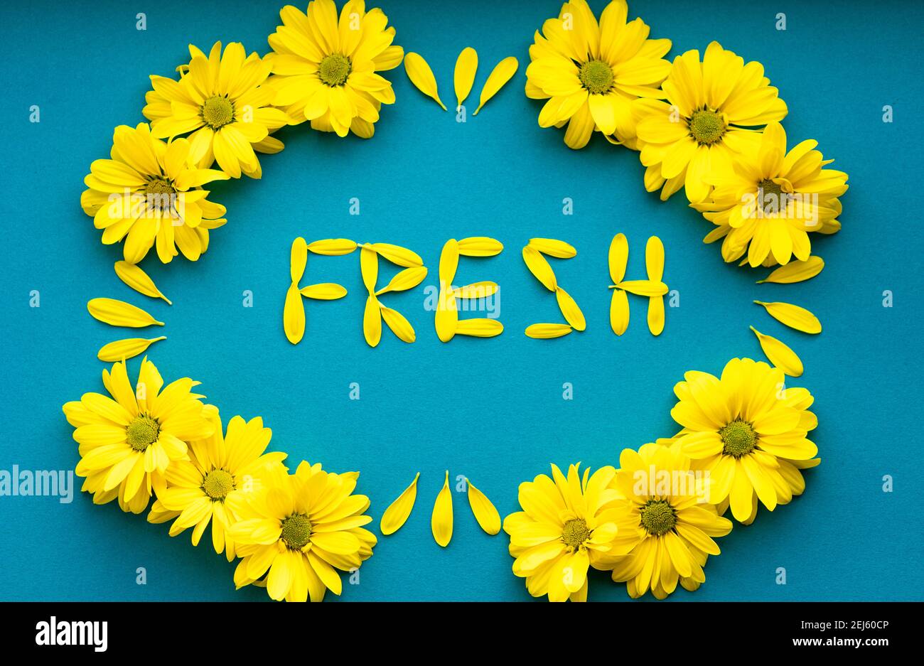 word fresh laid out bright yellow natural flowers petals on blue ...