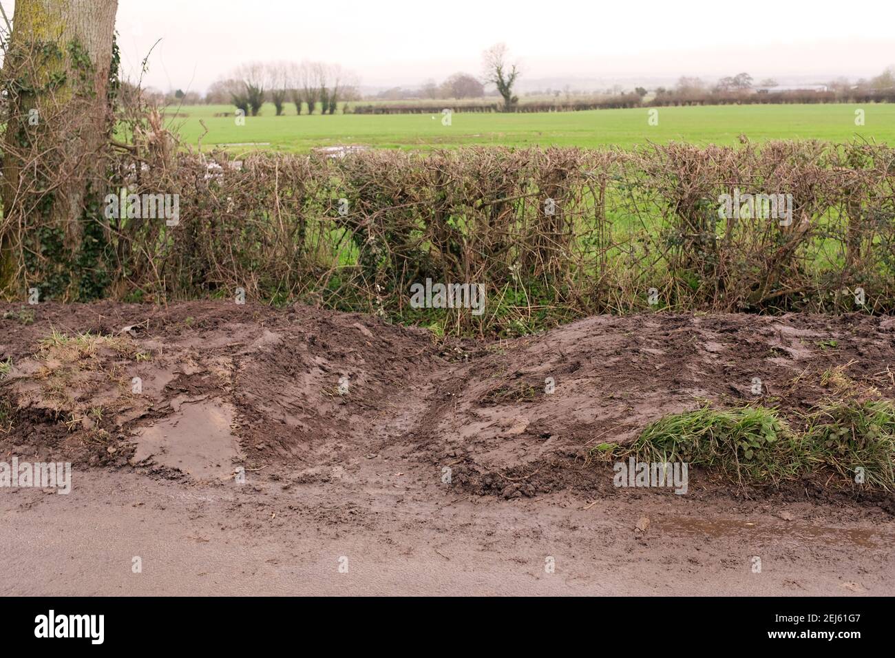 February 2021 - New channels cut through the verge to allow water to ...