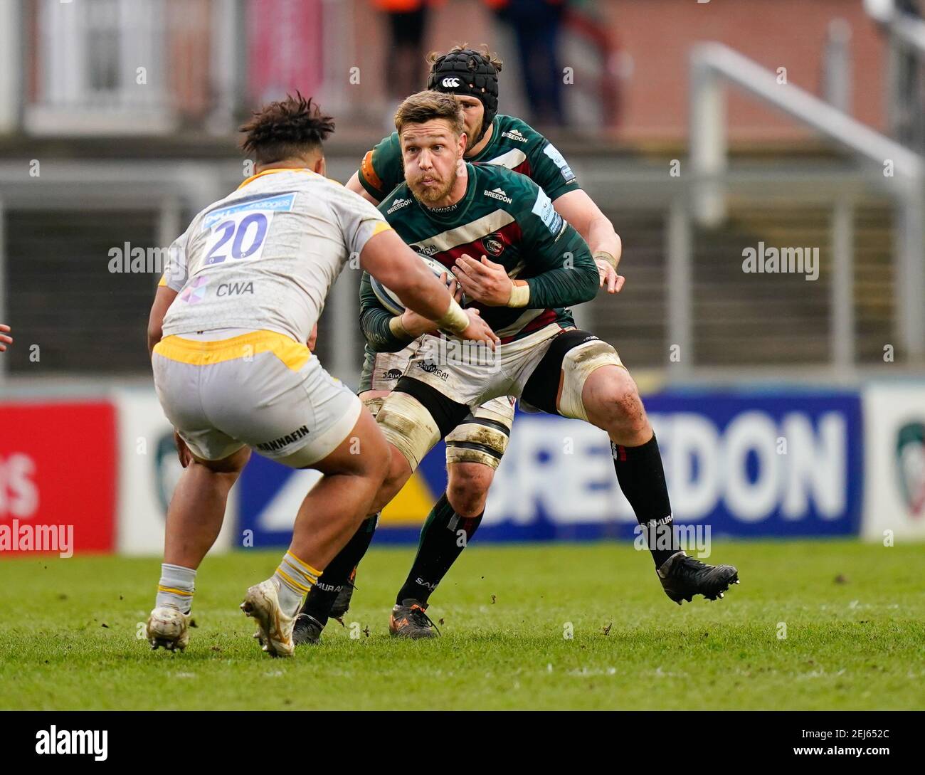 Row of wasps hi-res stock photography and images - Alamy