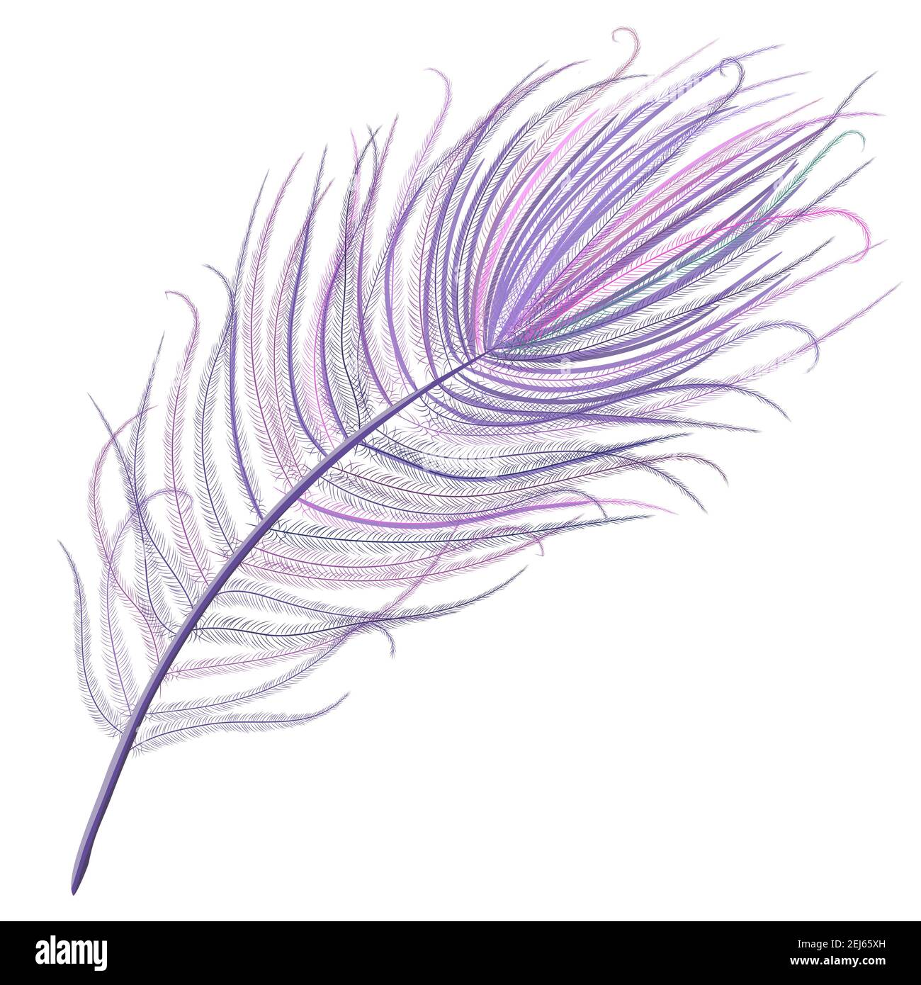 Boho realistic Cut Out Stock Images & Pictures - Alamy