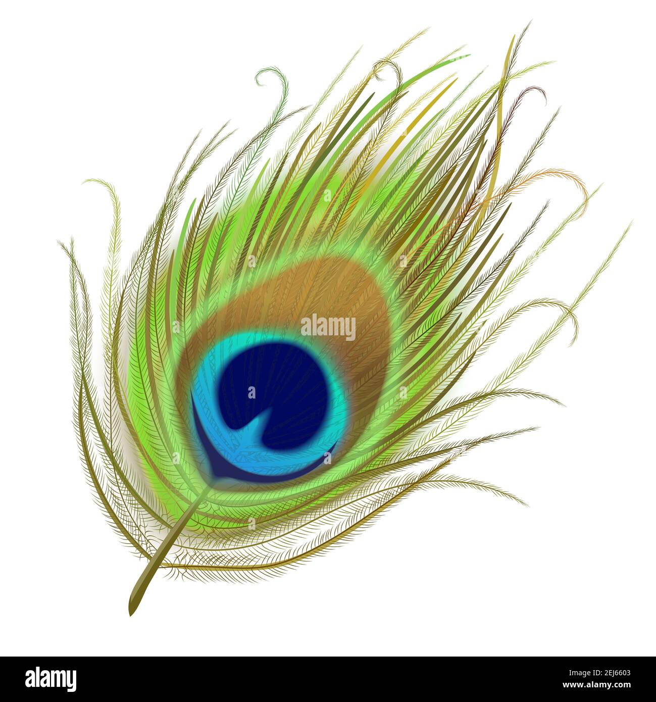 Boho realistic Cut Out Stock Images & Pictures - Alamy