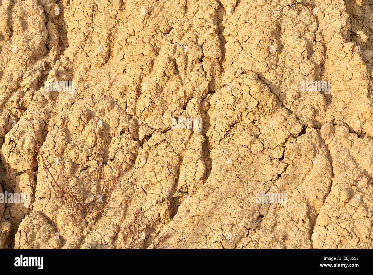 Above view of dry, natural rock or stone surface as background. Concept ...