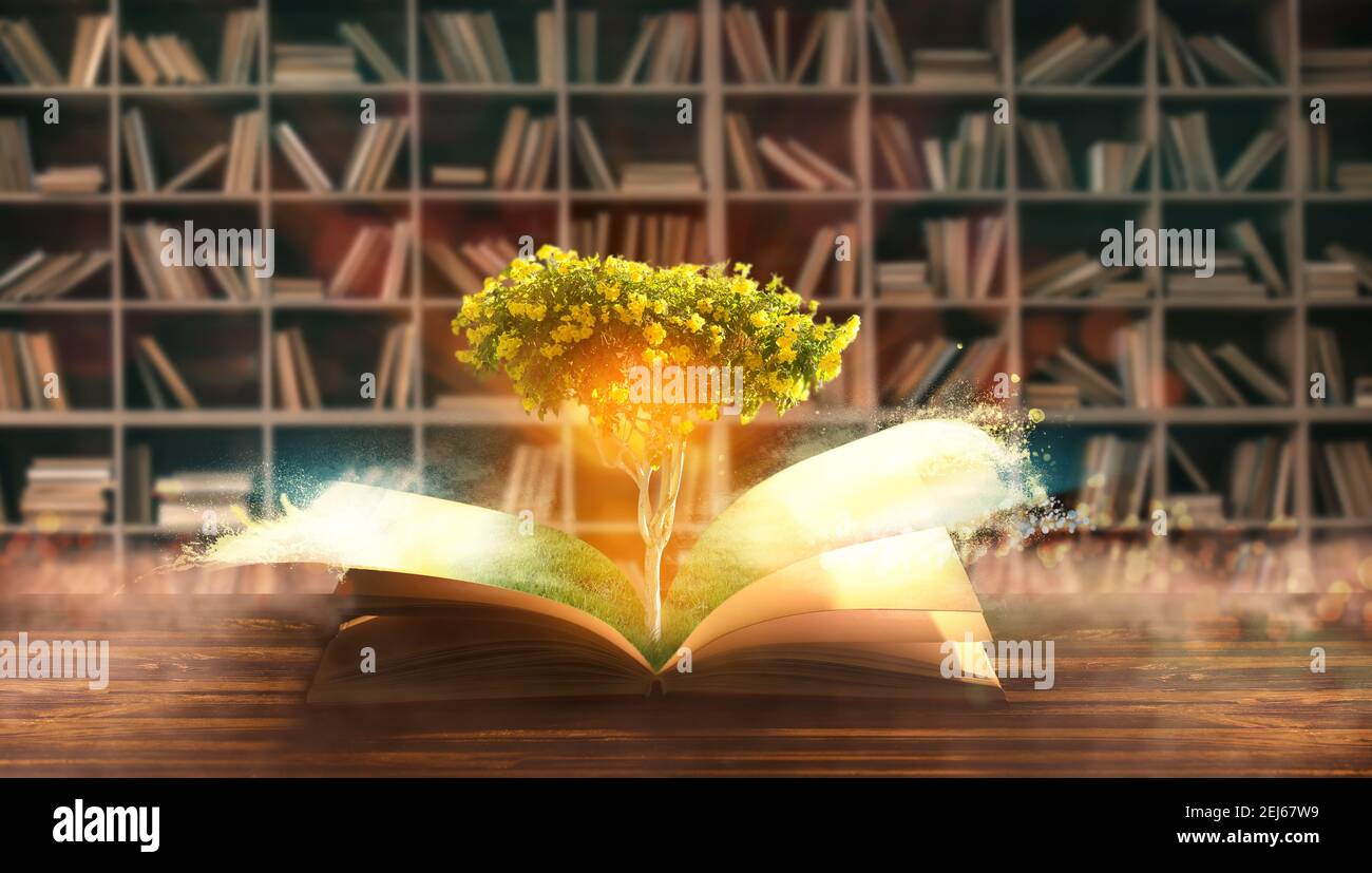 Magical Book Wallpaper
