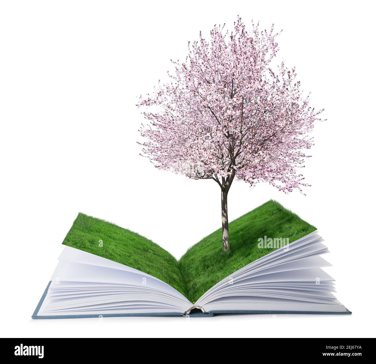 Development landscape content Cut Out Stock Images & Pictures - Alamy