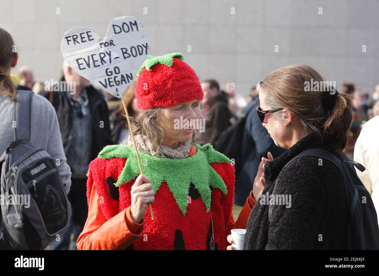 Placa media hi-res stock photography and images - Alamy