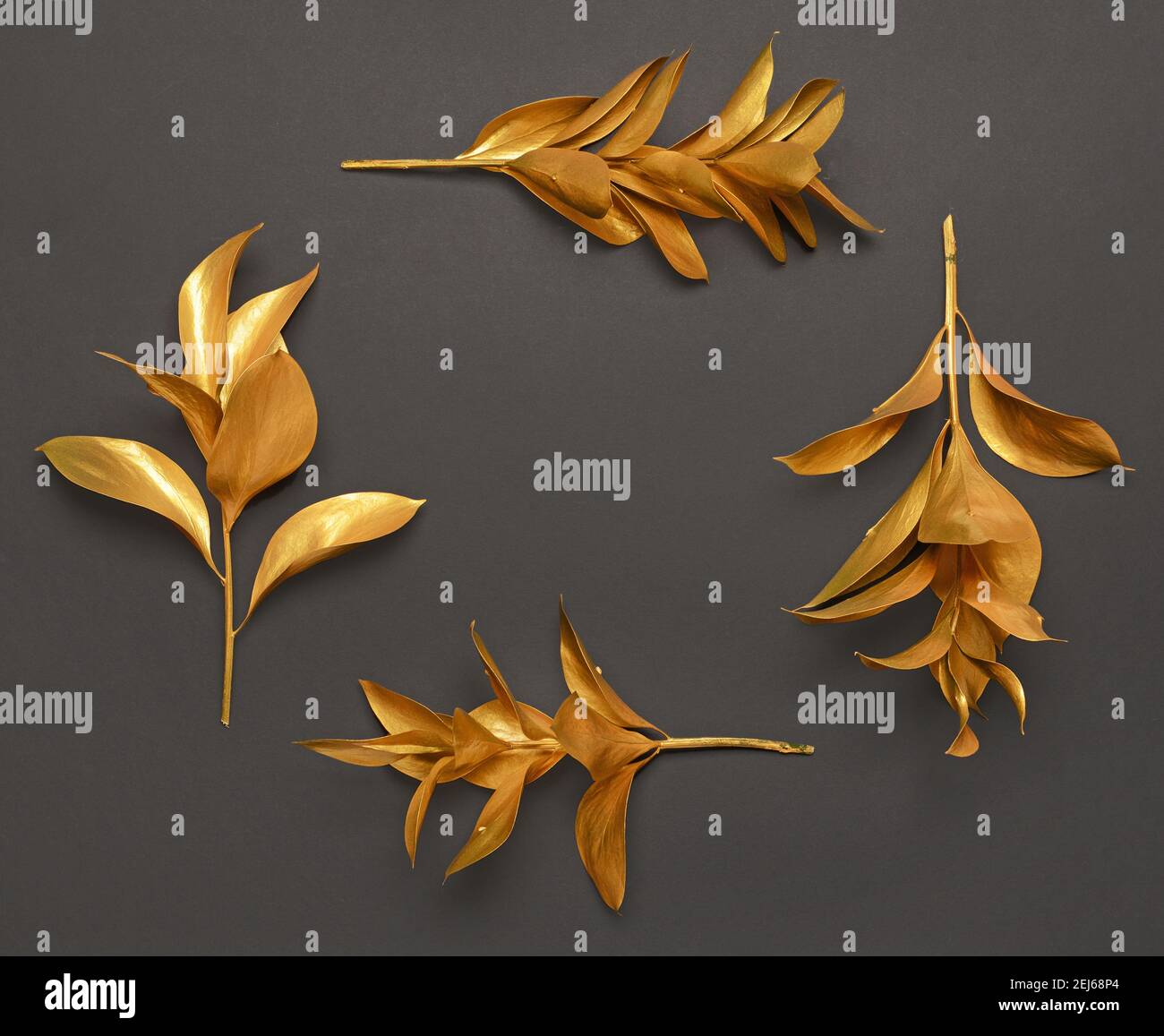 Frame made of golden leaves on dark background Stock Photo - Alamy