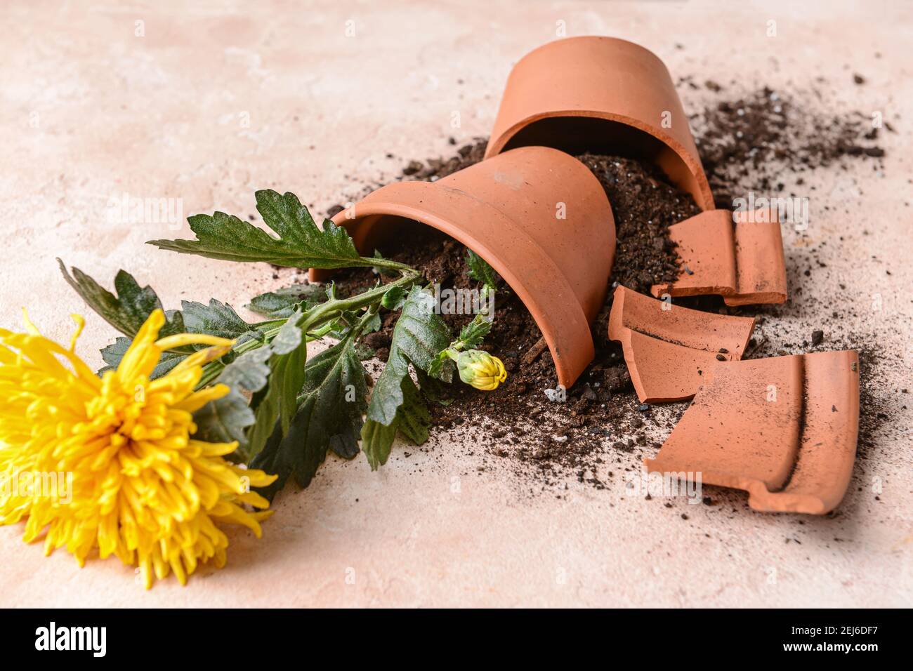 Broken flower pot hi-res stock photography and images - Alamy