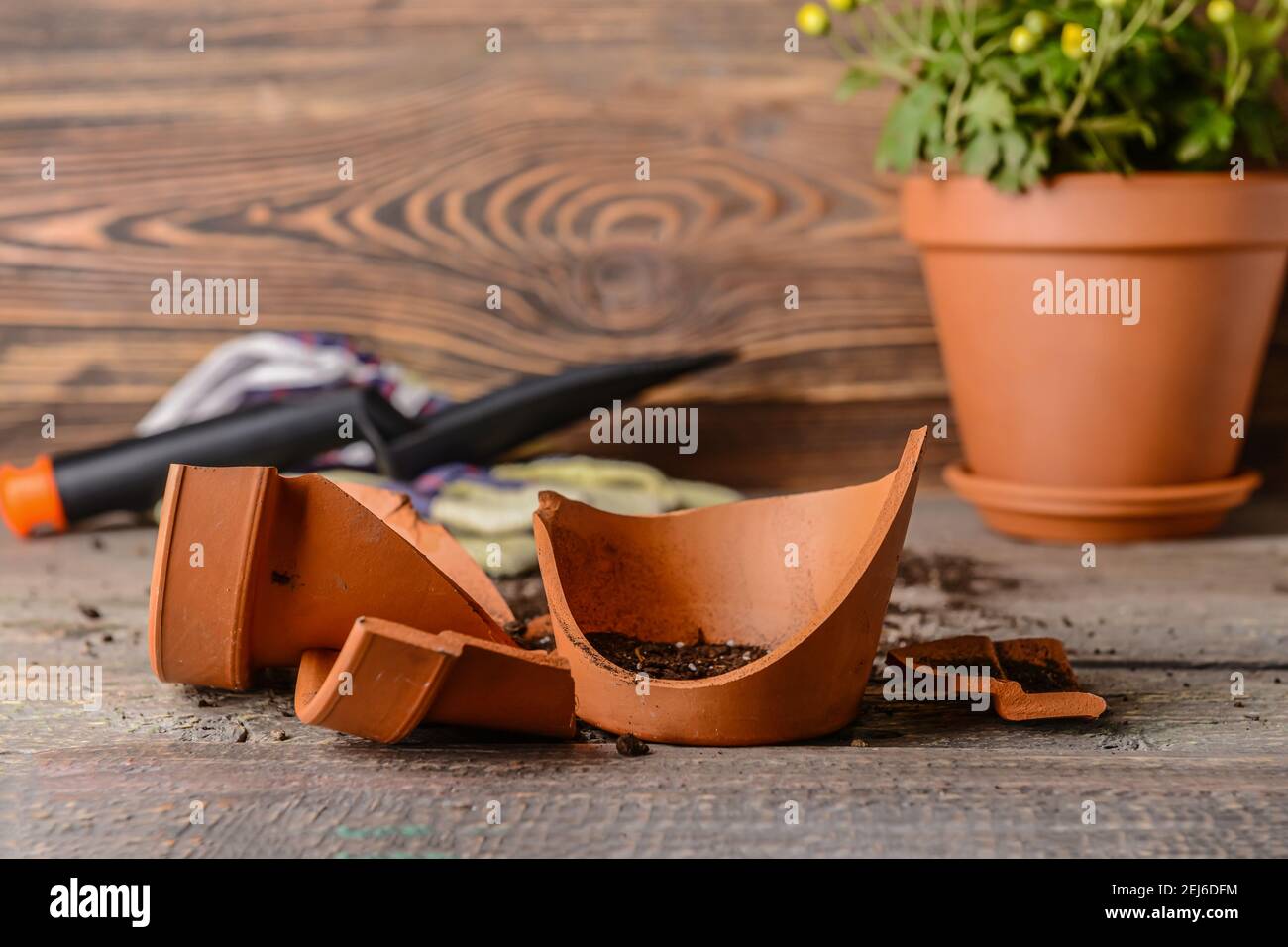 Broken flower pot and gardening tools on wooden background Stock Photo ...