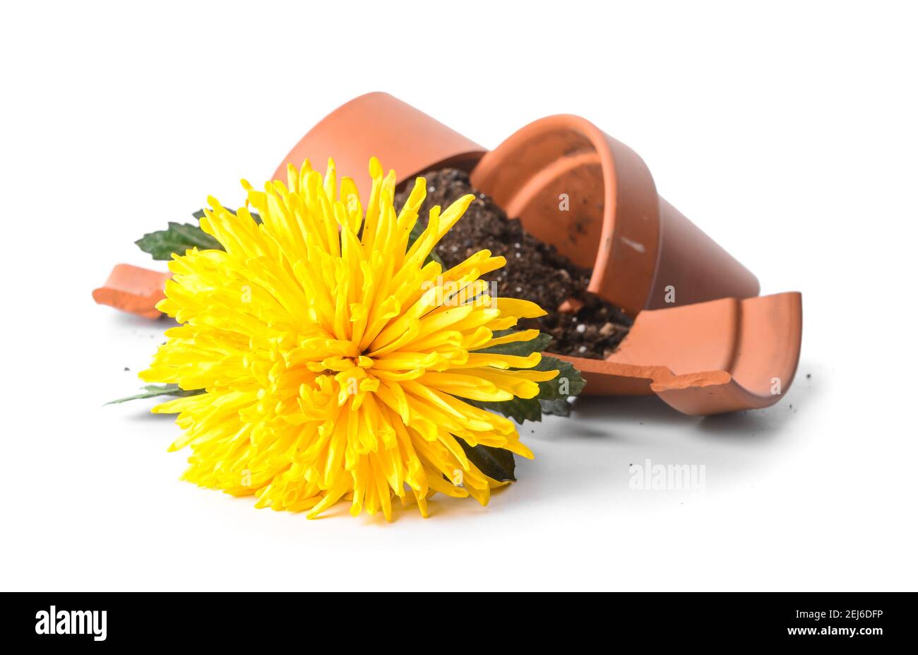 Broken flower pot on white background Stock Photo - Alamy