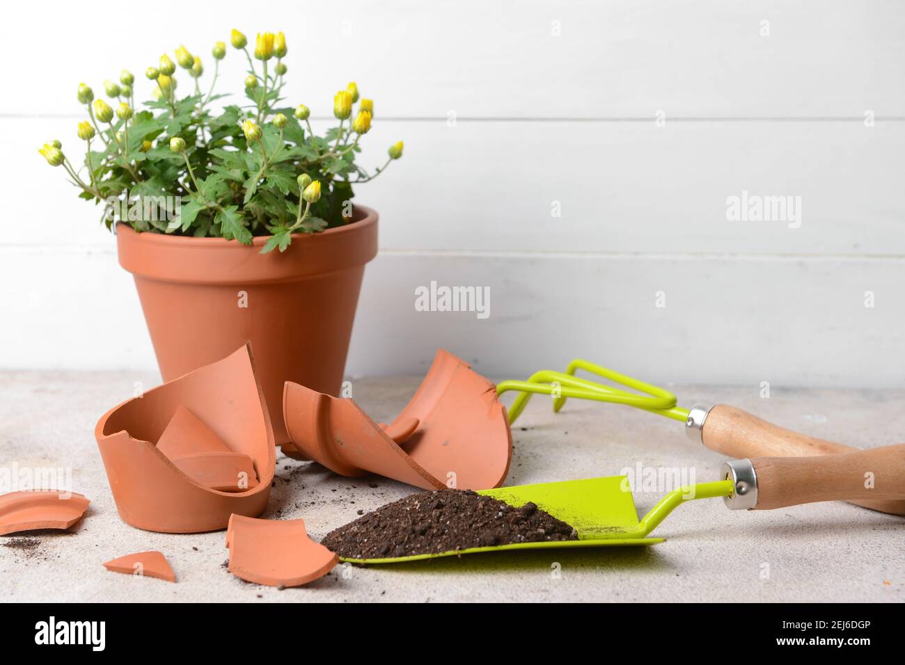 Broken flower pot and gardening tools on light background Stock Photo ...