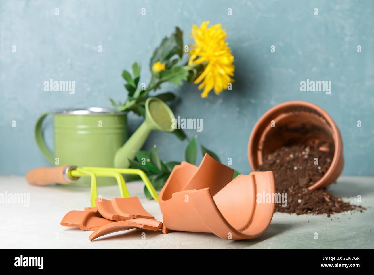 Gardening accident hi-res stock photography and images - Alamy
