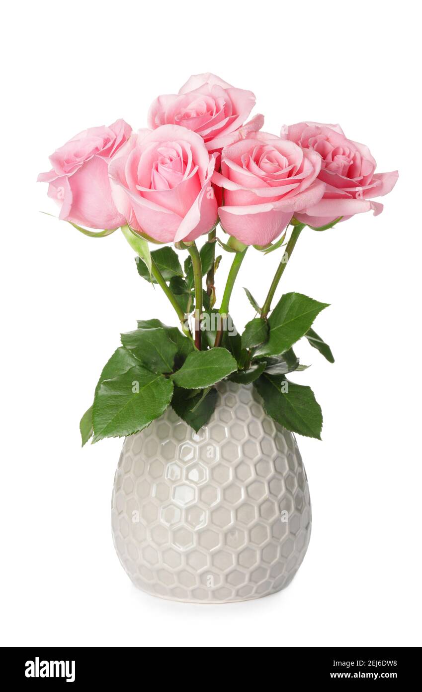Beautiful pink roses in vase on white background Stock Photo - Alamy