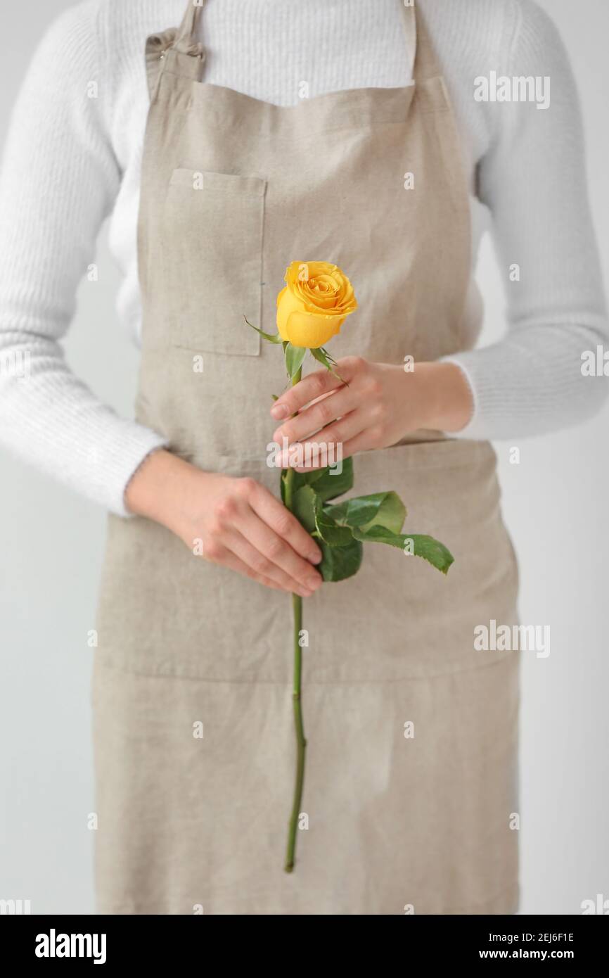 Female florist with beautiful yellow rose on light background Stock ...